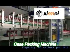 coordinate robotic case packing machine packer for bottling line