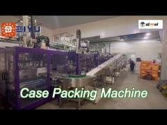 doypack pouch food automatic case packing machine plc controlled