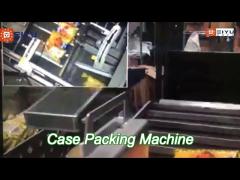 Carton Bagged Robotic Automatic Case Packing Machine Touch Screen Display