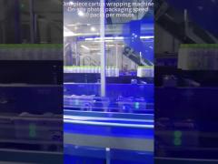 04-09 80 packs per minute, one-piece high-speed carton wrapping machine