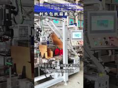 04-10 ペイユエンタープライズ スリーブラベリングマシン 顧客ケースコレクション