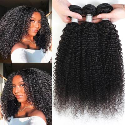 China Kinky curly Brazilian Virgin Hair Bundles Wholesale 100 Remy Human Hair Extensions wavy hair extensions human hair for sale