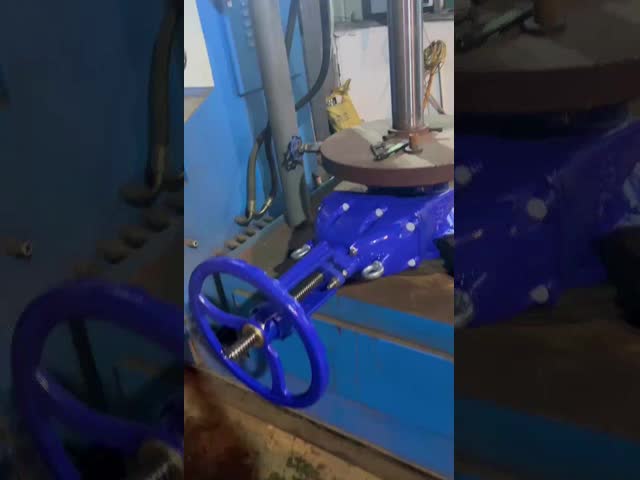 DIN3352-F4 Resilent Soft Seat  Rising Stem Gate Valves