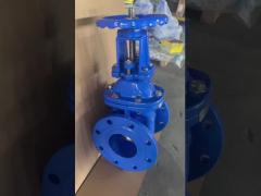 ANSI Flanged Metal Seat Gate Valve DN50-DN300 Cast Iron