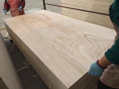 China 3-30 commercial plywood okoume plywood bintangor plywood for furniture and packing for sale