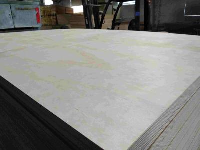 China Good quality Pine plywood birch plywood commercial plywood for furniture for sale