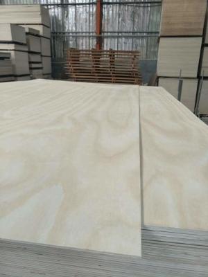 China Okoume plywood fir plywood, birch plywod, pine plywood, bintangor plywood, all kinds of commercial plywood for sale