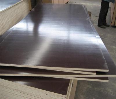 China black POPLAR film faced plywood for sale