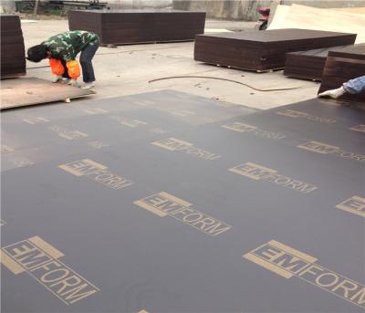 China BROWN COMBI film faced plywood for sale