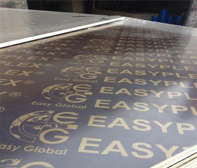 China BROWN MR film faced plywood for sale