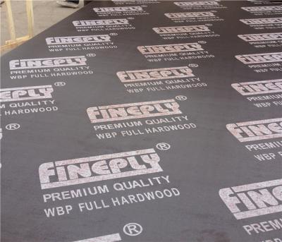 China BROWN MR film faced plywood poplar for sale