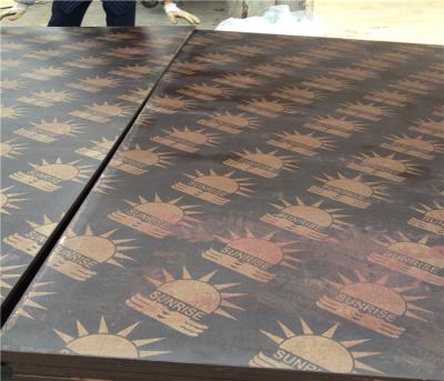 China BROWN MR film faced plywood hardwood for sale