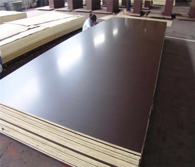 China BROWN MR film faced plywood combi grade 18mm melamine glue for sale