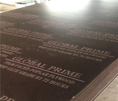 China BROWN MR film faced plywood combi grade 18mm wbp glue for sale