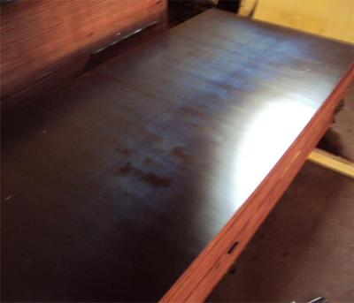 China BROWN MR film faced plywood combi grade 15mm wbp glue for sale