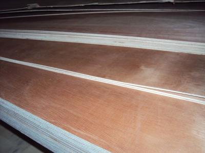 China okoume f/b,poplar core e1 glue plywood for sale
