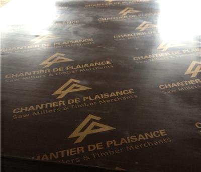 China film faced plywood with combi core black film e2 glue for sale