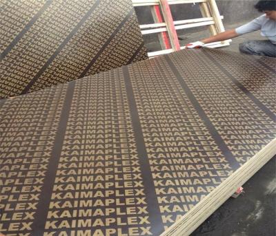 China film faced plywood brown film E1 glue for sale