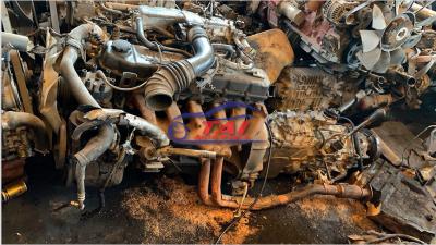 Cina Assy giapponese usato ISO9001 del motore diesel per Nissan TB45 in vendita