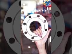 Acciaio Inossidabile 304 304L 316 316L RF Filettatura Femmina Bsp Npt Flangia a Vite Filettata