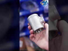 Θηλυκό σπείρωμα Μειωτικό T