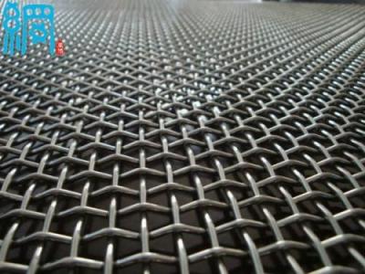 China Low Carbon Steel Crimped Woven Wire Mesh (ISO9001 Factory) for sale