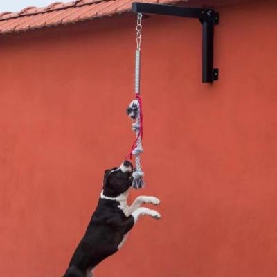 China High quality spring pole for dogs dog spring pole sets for sale
