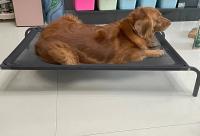 China Foldable Portable Mesh Breathable Luxury Elevated Pet Dog Bed for sale