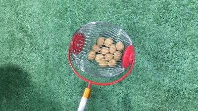 China Quick Picking Tool 28m*19cm*23cm Nut Fruit Picker with and Multifunctional Design for sale