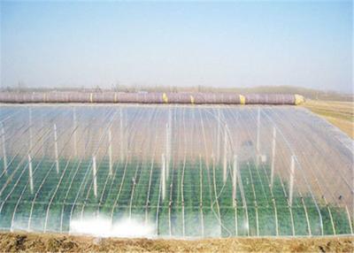 China Holographic Plastic Greenhouse Film Single Layer PE Material , 1m-20m Width for sale