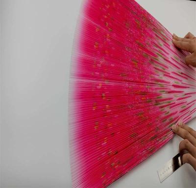 Cina 1 mm schermo anti-insetto nero a pilastro anti-vento rete per finestre di insetti per aria fresca casa pulita in vendita