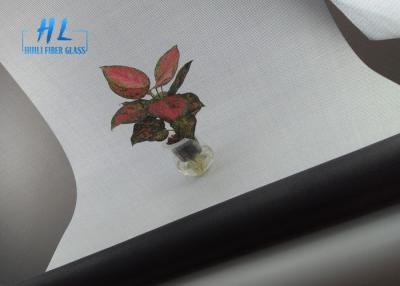 China Fiberglass Window Screen PVC Coated Window Screening Insect Wire Netting Mesh for sale