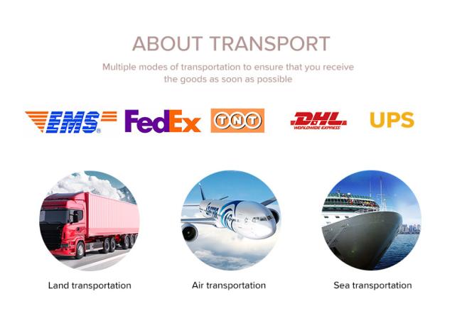 High Quality Bra Set Sexy Lace Padded Triangle Ladies Bras and Panties Set