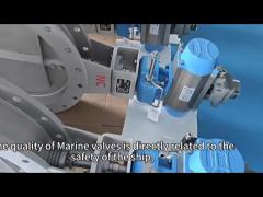 DN200 Worm Gear Handmatig roestvrij staal Hoogwaardig dubbele excentrische vlinderklep Waterklep