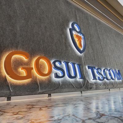 China Hongsen Custom Metal LED Channel Letter Sign Acrylic Backlight Transformer-Powered Advertising Decoration Sign Board for sale