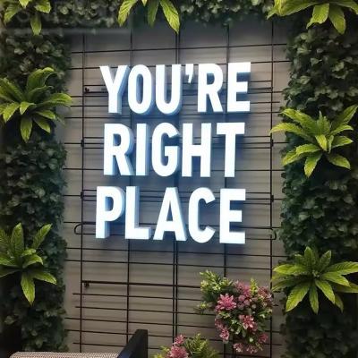China Custom Outdoor LED Front Light Letters High Visibility Illuminated Signage for Storefronts & Retail Shops for sale