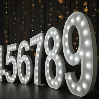 China OEM 3ft-5ft DC Powered Waterproof LED Metal Letters with IP65 Rating for Outdoor Advertising Commercial Displays Home Decoration for sale