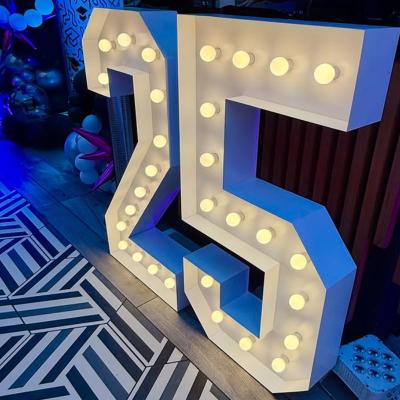 China Manufacturer 3ft 4ft 5ft Customized Waterproof Giant Light up Letters Led Letter Sign for sale