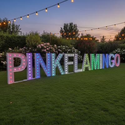 China Professional Custom Marquee Letters & Numbers High Brightness LED DC Powered RGB Light for Home Advertising Indoor/Outdoor Use for sale