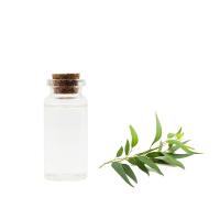 China 100% Pure Aromatherapy Essential Oils for sale