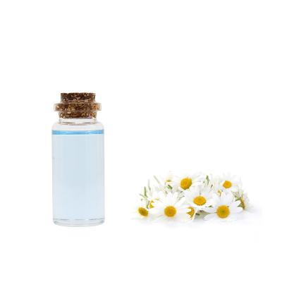 Cina Corpo di Roman Chamomile Essential Oil For degli oli essenziali di aromaterapia del crisantemo in vendita