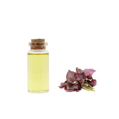 Cina Olio organico antinvecchiamento della foglia del Perilla, olio 5KG di fragranza di aromaterapia in vendita