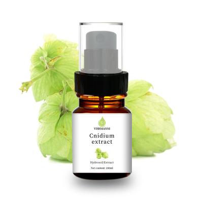Cina Estratto organico di erbe di Fructus Cnidii distillato per digestione dello stomaco in vendita