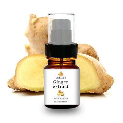 Cina Ginger Extract Liquid distillato Vishmanni, Ginger Hydrosol For Health Care in vendita