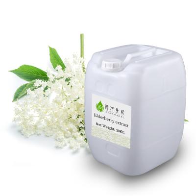 China Van het de Vlierbesuittreksel van het Vishmanni de Natuurlijke Hydrosol Organische Hulp van de Spiersoreness Te koop
