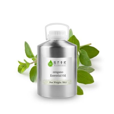 China El Aromatherapy anti del cáncer esencial engrasa el aceite mediterráneo salvaje CAS 8007-11-2 del orégano en venta