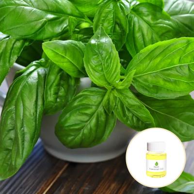Cina OEM 100% Basil Essential Oil Anti Inflammation santo organico naturale puro in vendita