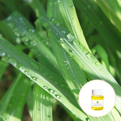 Cina OEM naturale puro essenziale/ODM organici dell'olio 100% della citronella in vendita