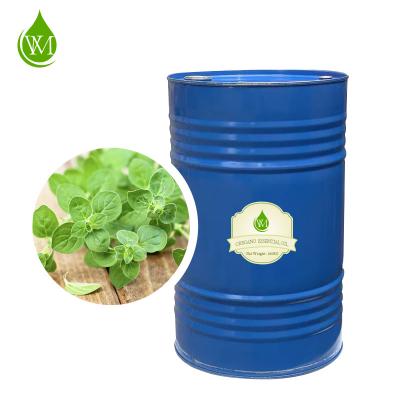 Cina Olio terapeutico organico puro di aromaterapia del grado dell'olio essenziale dell'origano dell'etichetta privata in vendita