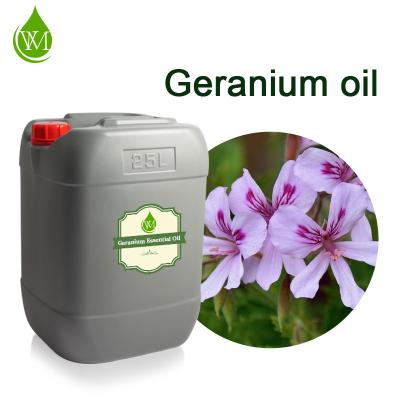 Cina Olio essenziale del geranio naturale puro dell'OEM 100% organico per la STAZIONE TERMALE del corpo in vendita